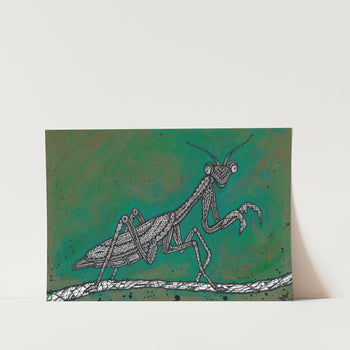Mantis Art Print