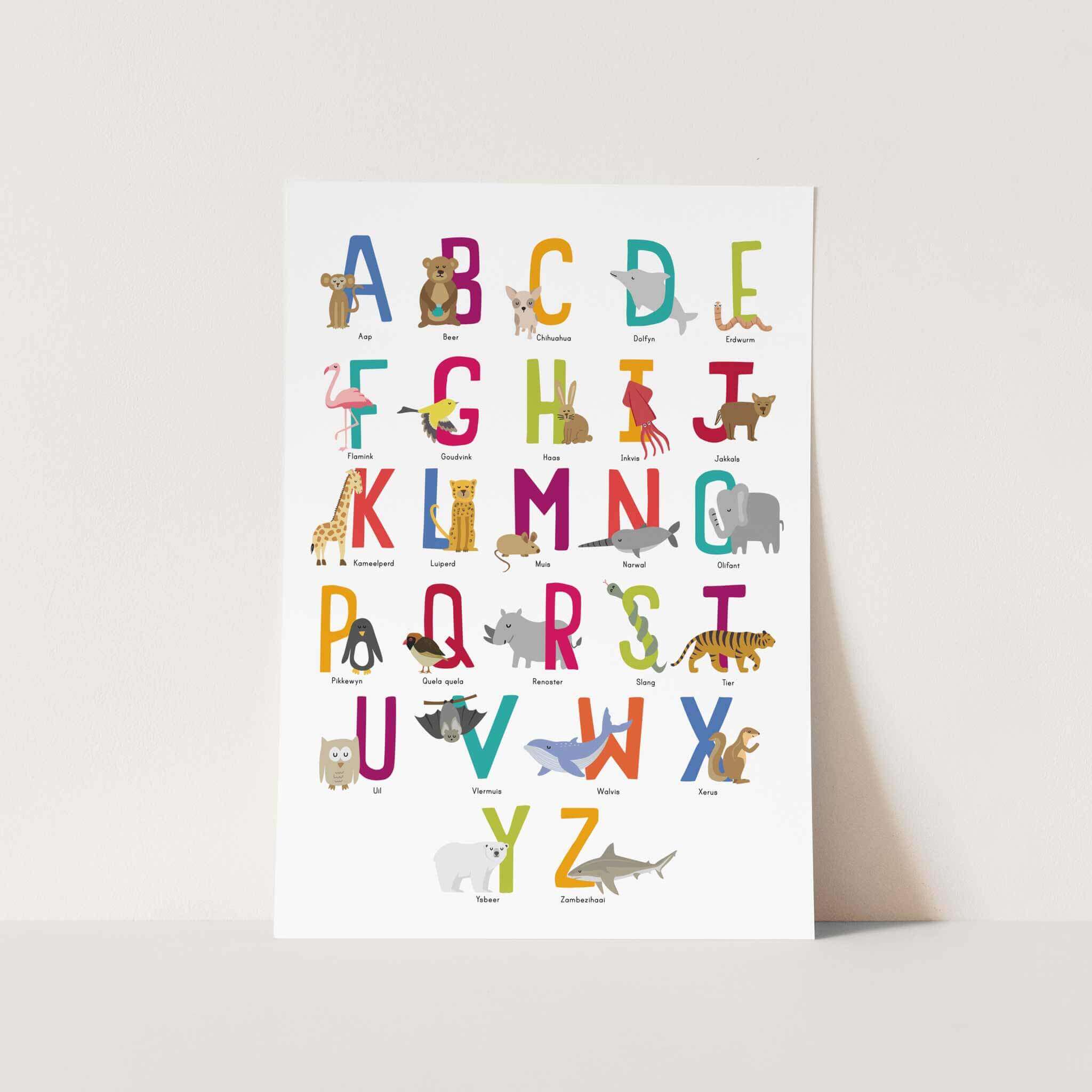 Afrikaans Alphabet Letters