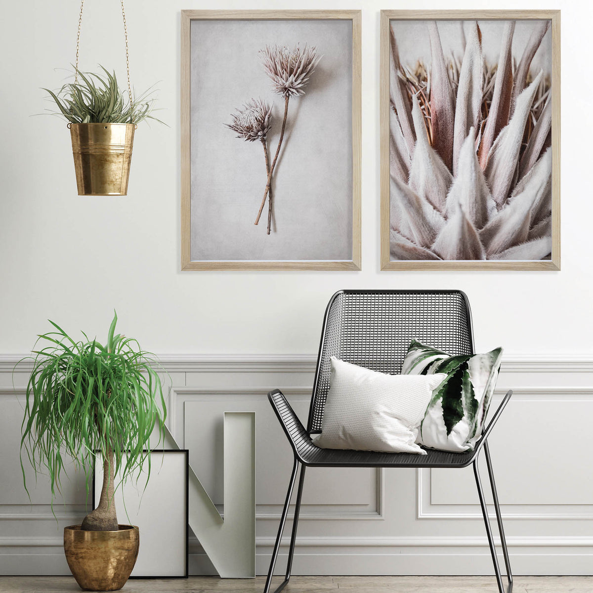 Dried King Macro I by Sonjé Art Print