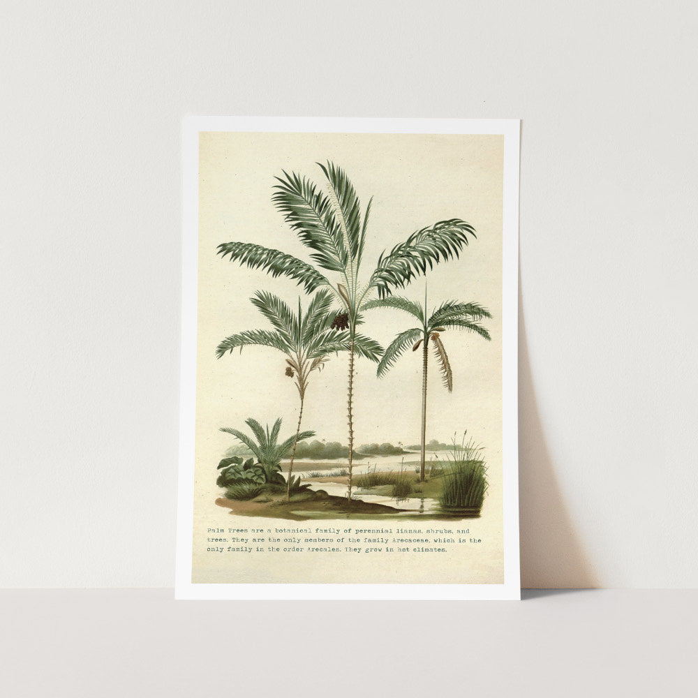 Vintage Palm Trees Water Art Print